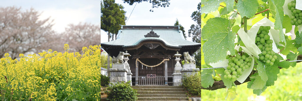 岡上について – OKAGAMI green tourism